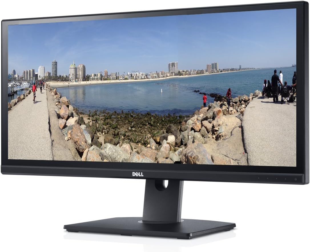 Amazon.com: Dell UltraSharp U2913WM 29-Inch 21:9 Widescreen 2560 x 1080 ...