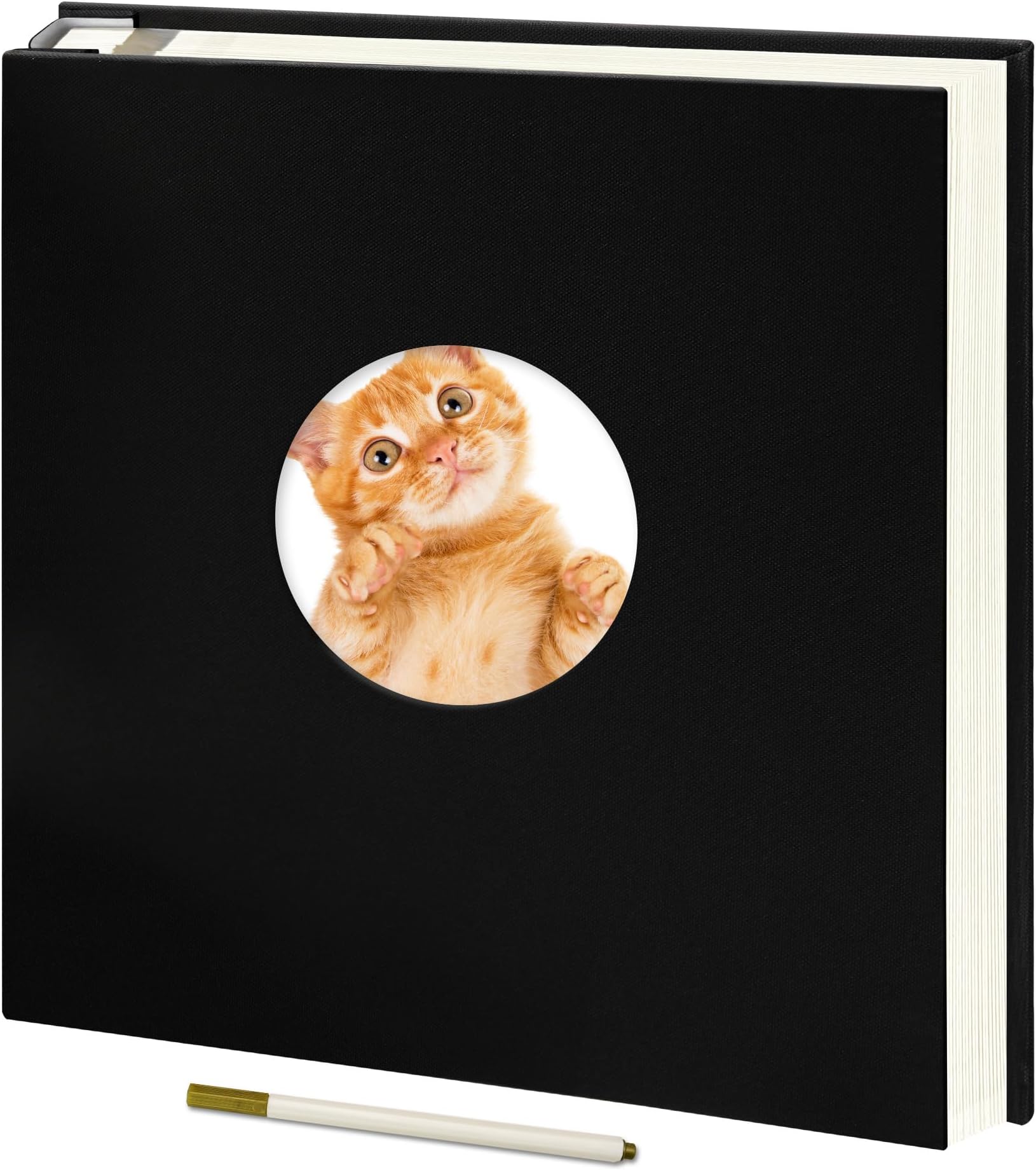 Amazon.com: Hiwhy Photo Album Self Adhesive, 3 Ring Photo Albums Book ...