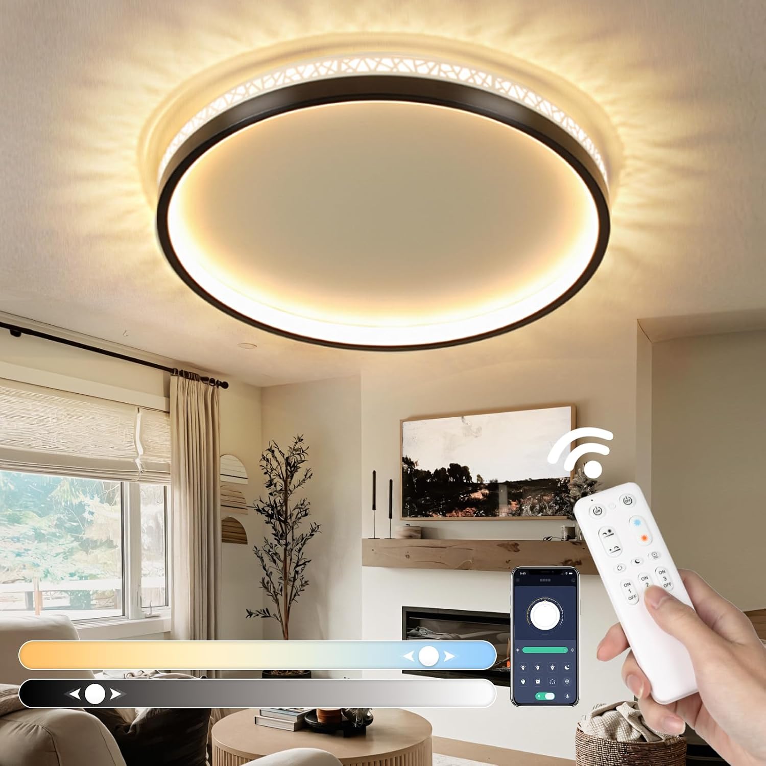 CASENKE Flush Mount Ceiling Light: 30W 3000LM Led Black Lights Dimmable ...