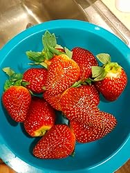 Amazon.com: Strawberries, 1 Lb