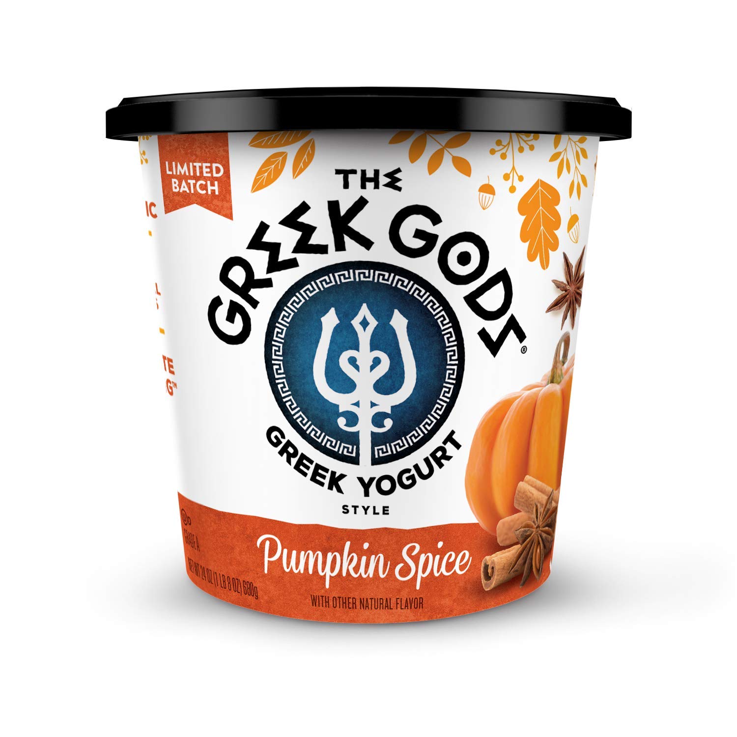 Amazon.com: Greek Gods Limited Batch, Pumpkin Spice, 24 oz : Grocery ...