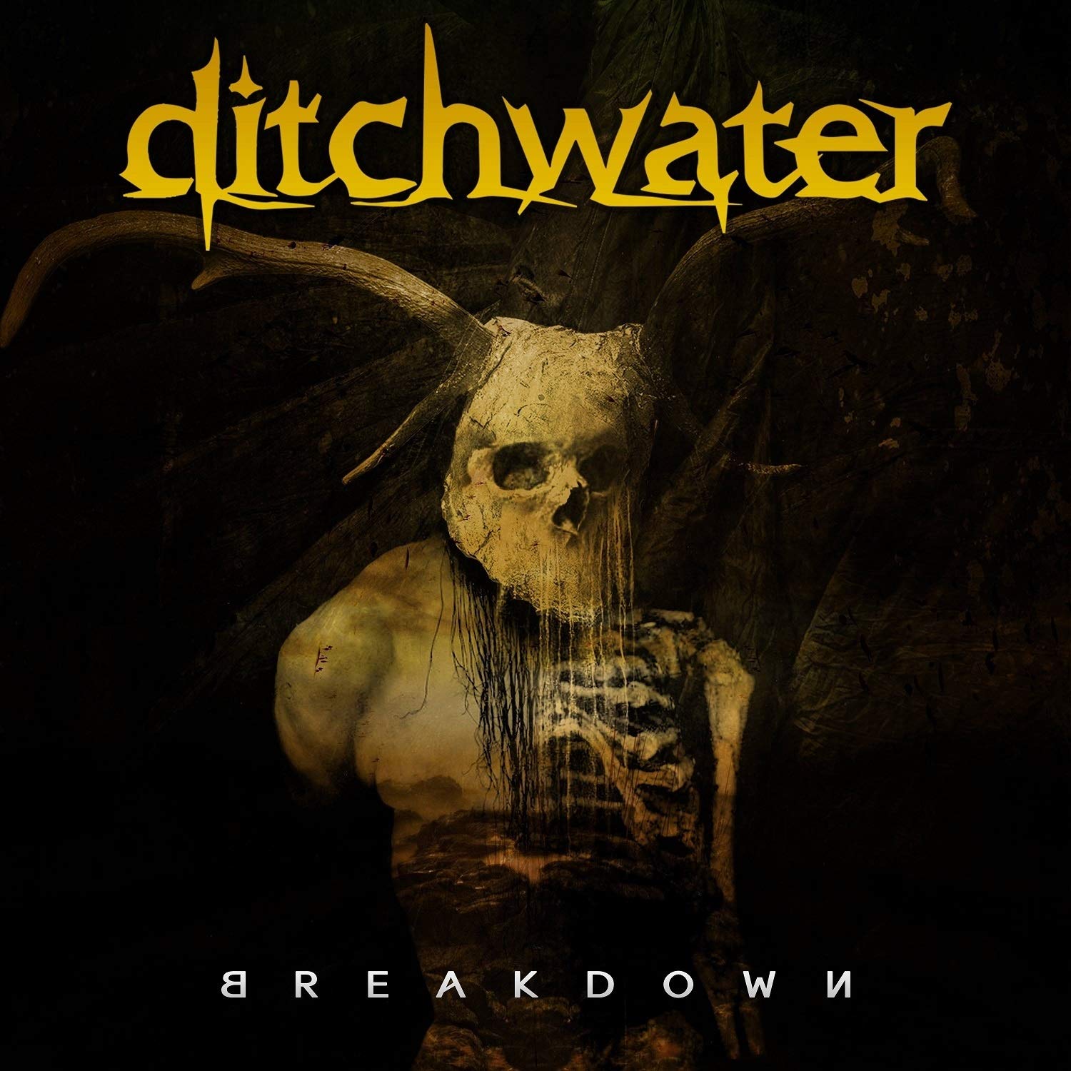 Amazon.com: Breakdown (Remastered): CDs & Vinyl