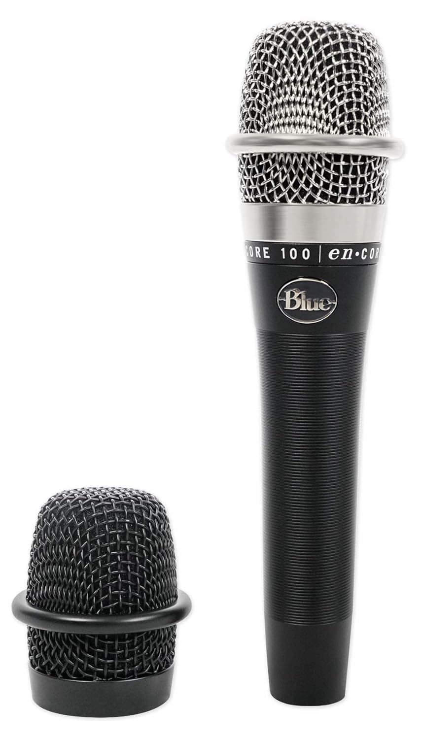 Amazon.com: Blue Encore 100 Pro Series Mic: 0836213005118: Musical ...