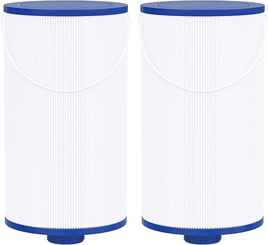 Amazon.com: Wowreed Spa Filter Compatible with FC-2402, 303279, Free ...