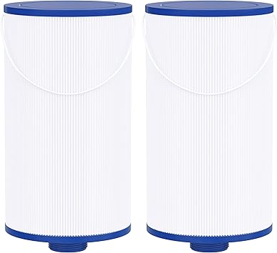 Amazon.com: Wowreed Spa Filter Compatible with FC-2402, 303279, Free ...