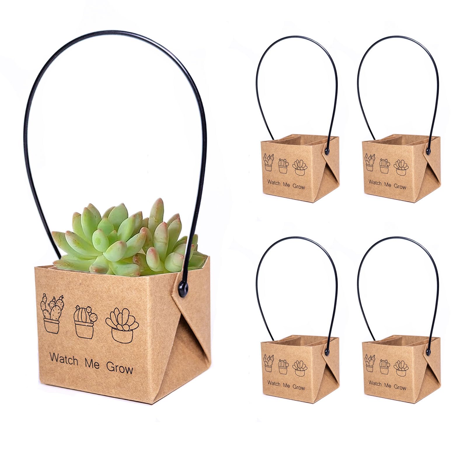Amazon.com: ALLWSLucky 50PCS Watch Me Grow Succulent Wrap, Fits 2 Inch ...