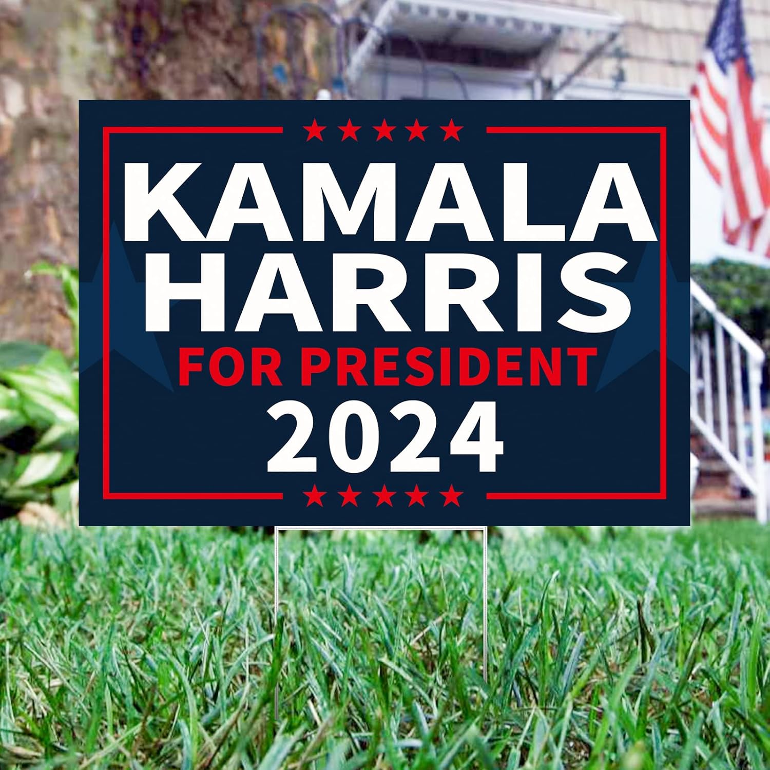 Amazon.com : Probsin Kamala Harris 2024 Yard Sign Double Sided 12" x 17 ...