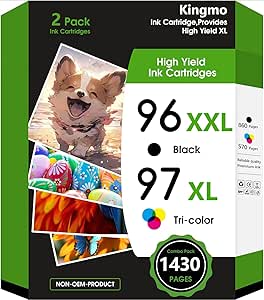 Amazon.com: 96 97 Ink Cartridges Combo Pack Replacement for HP 96XL ...