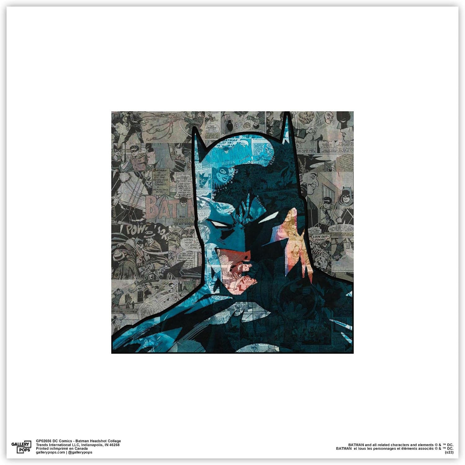 Amazon.com: Trends International Gallery Pops DC Comics - Batman ...