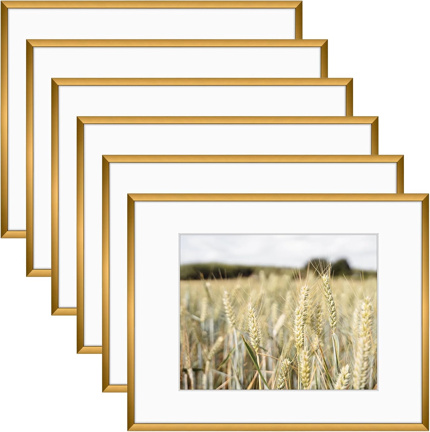 Amazon.com - Golden State Art, Gallery Wall Frame Set of 6 - Bronze ...