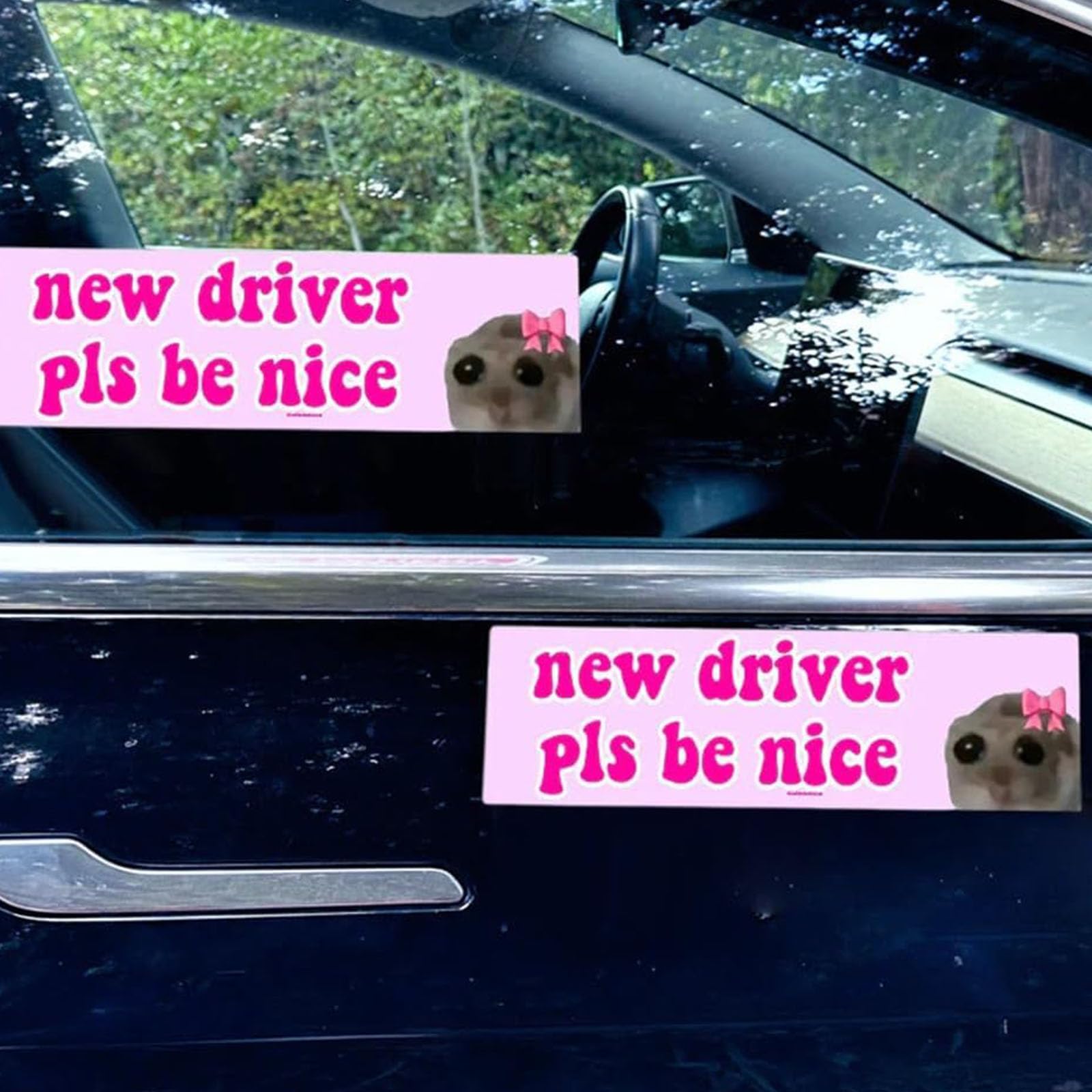 New Driver Memes