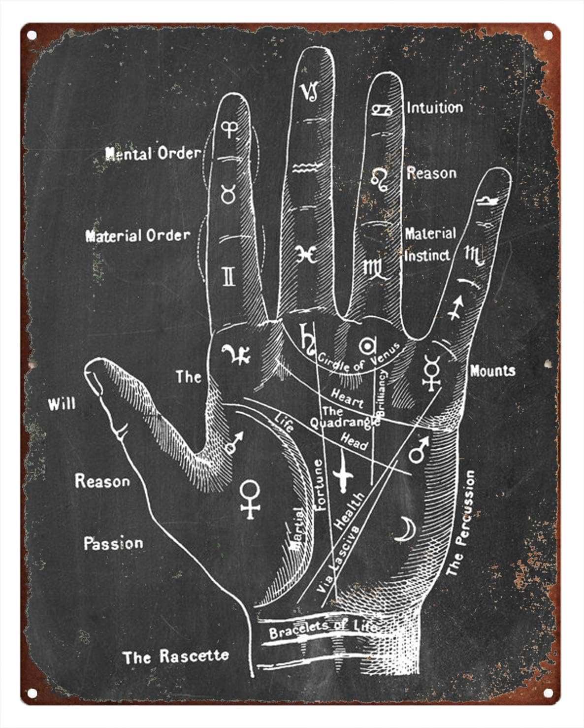 Amazon.com: Retro Metal Signs Vintage Palmistry Hand Wall Art Print ...
