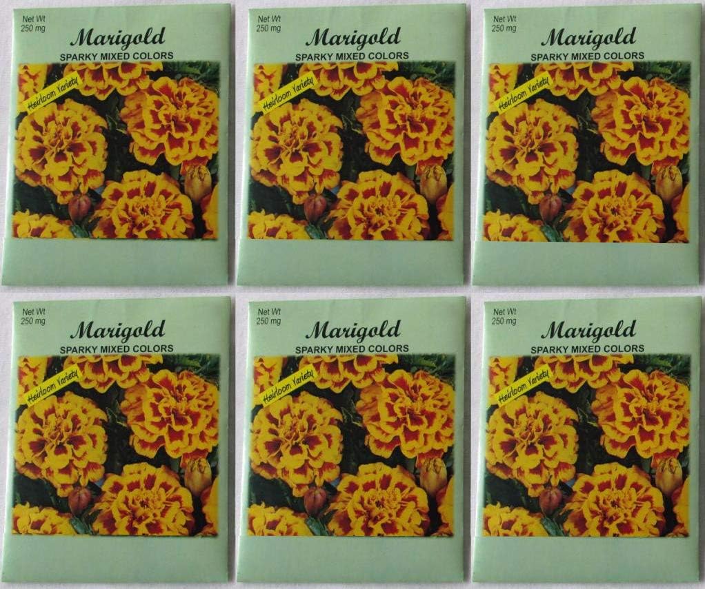 Amazon.com : (6 Pack) 250 mg/Package Marigold Heirloom Variety Seeds ...