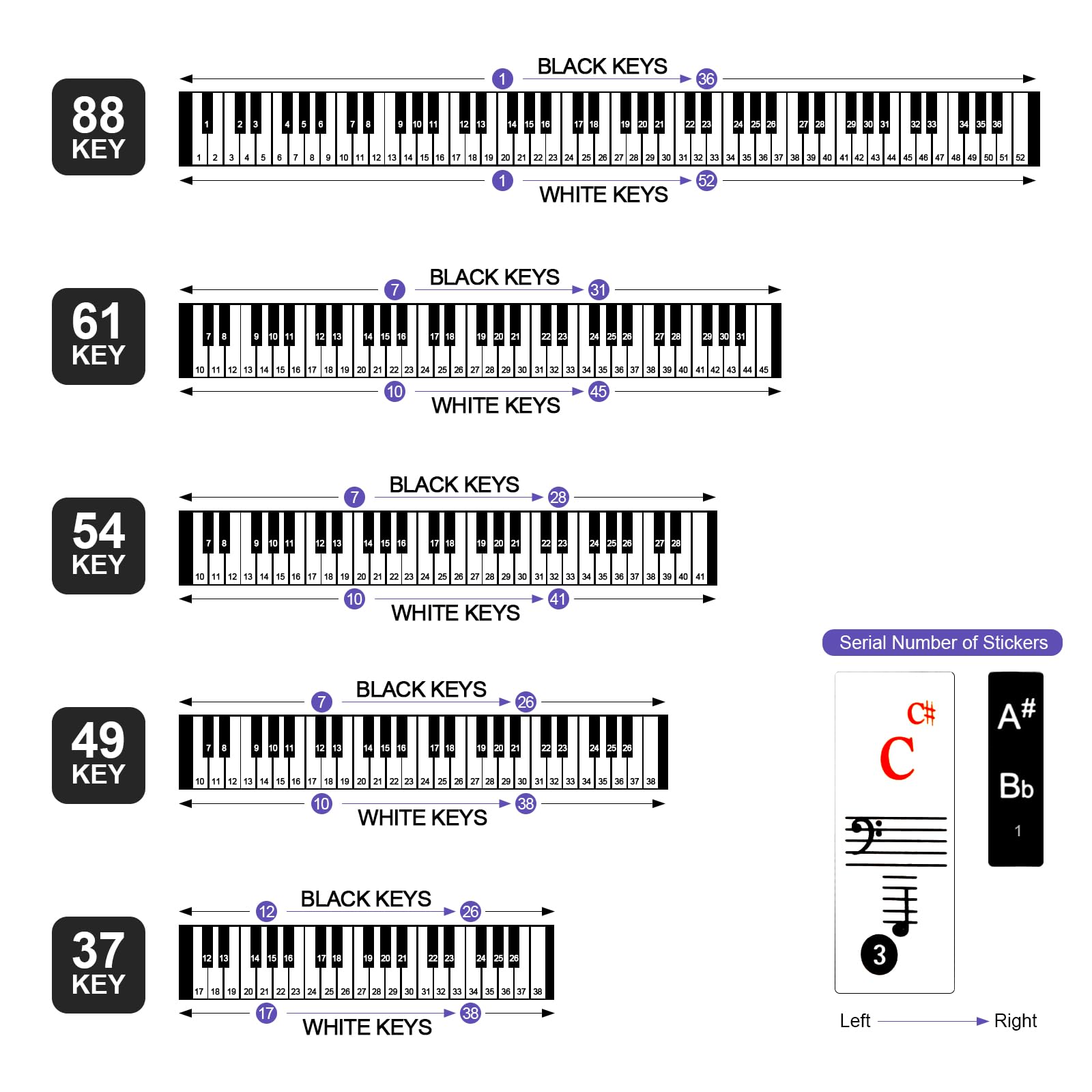 Snapklik.com : Piano Key Stickers, Piano Stickers 88 Keys, 61 Key Piano ...