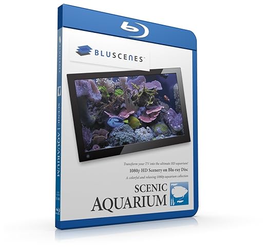 Amazon.com: BluScenes: Scenic Aquarium 1080p HD Blu-ray Disc : Blu-ray ...