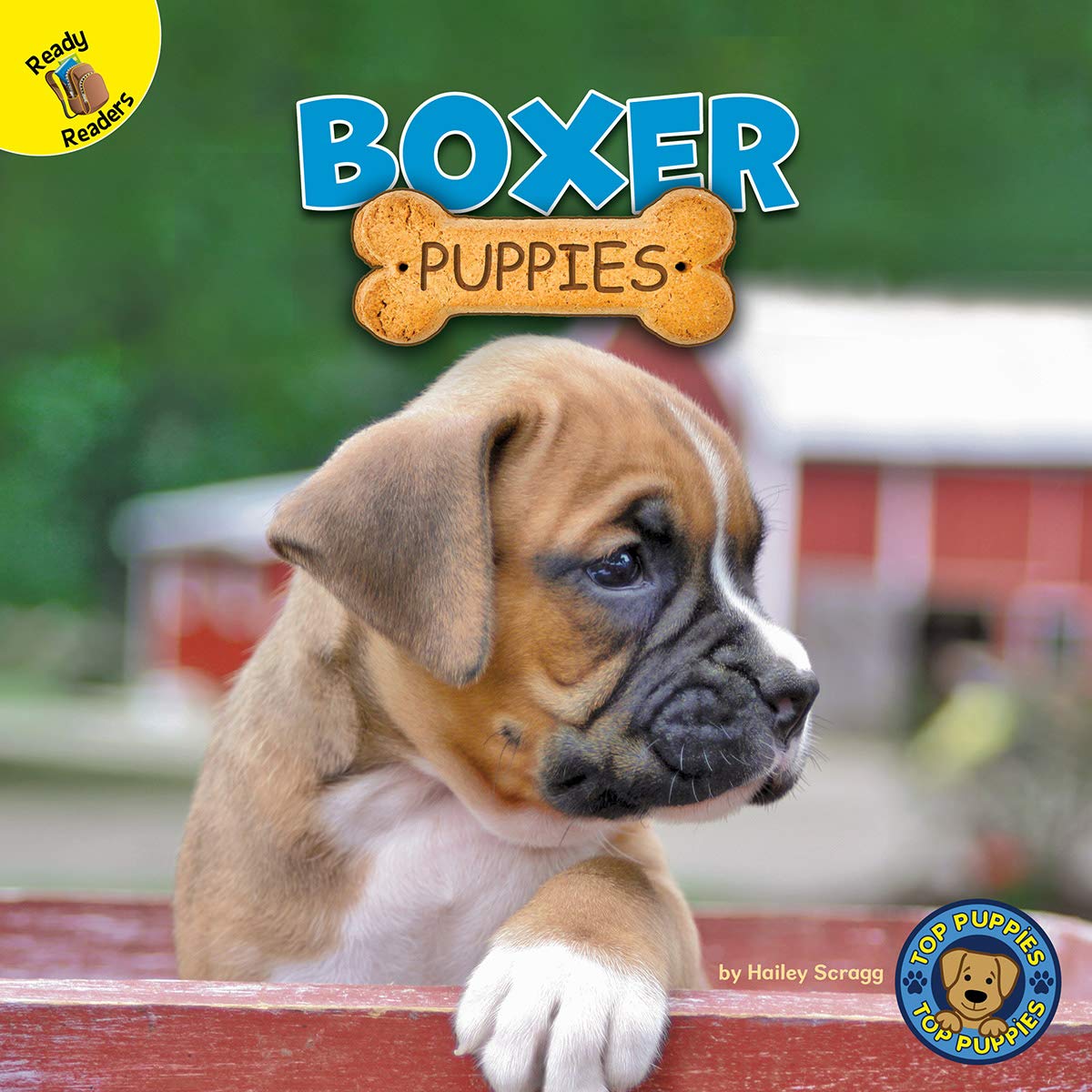 Amazon.com: Top Puppies: Boxer Puppies – Rourke NonFiction Reader ...
