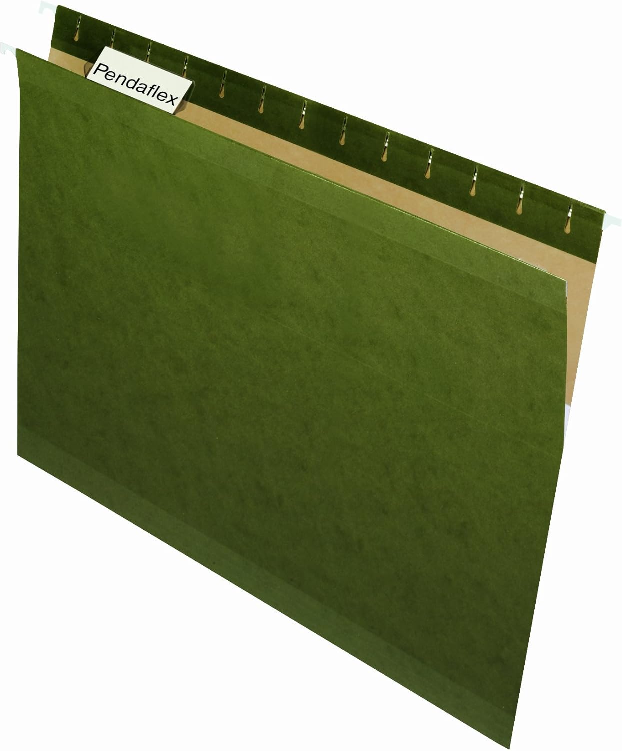 Reversaflex Insertable Tabs, 2-Inch, Clear, 25/Pck : Amazon.ca: Office ...