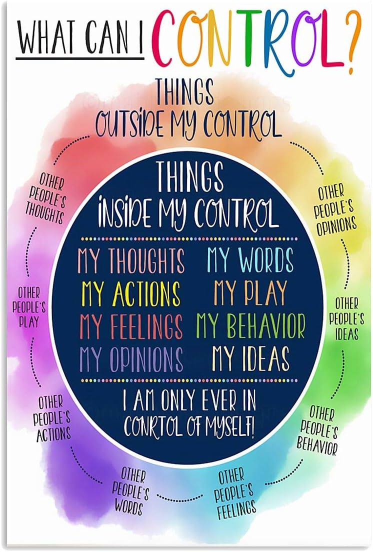 Amazon.com: What I Can Control Things Outside and Inside My Control ...