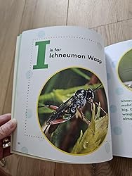 Amazon.com: ABC Bug Book for Kids: 9781638780663: Anderson, Jessica Lee ...