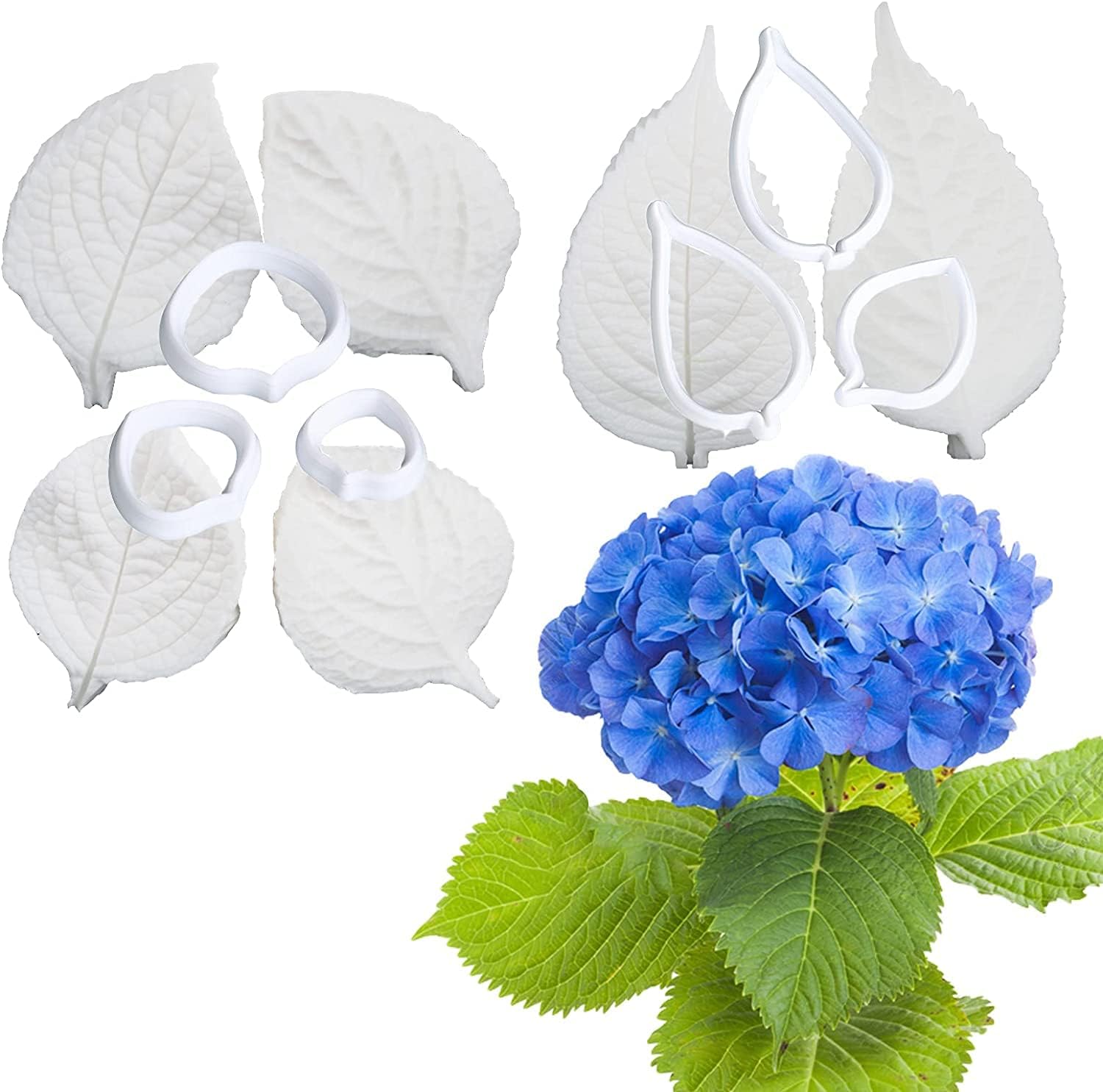 Amazon.com: SHANIABELLE 12Pcs Hydrangea Flower and Leaf Fondant and Gum ...