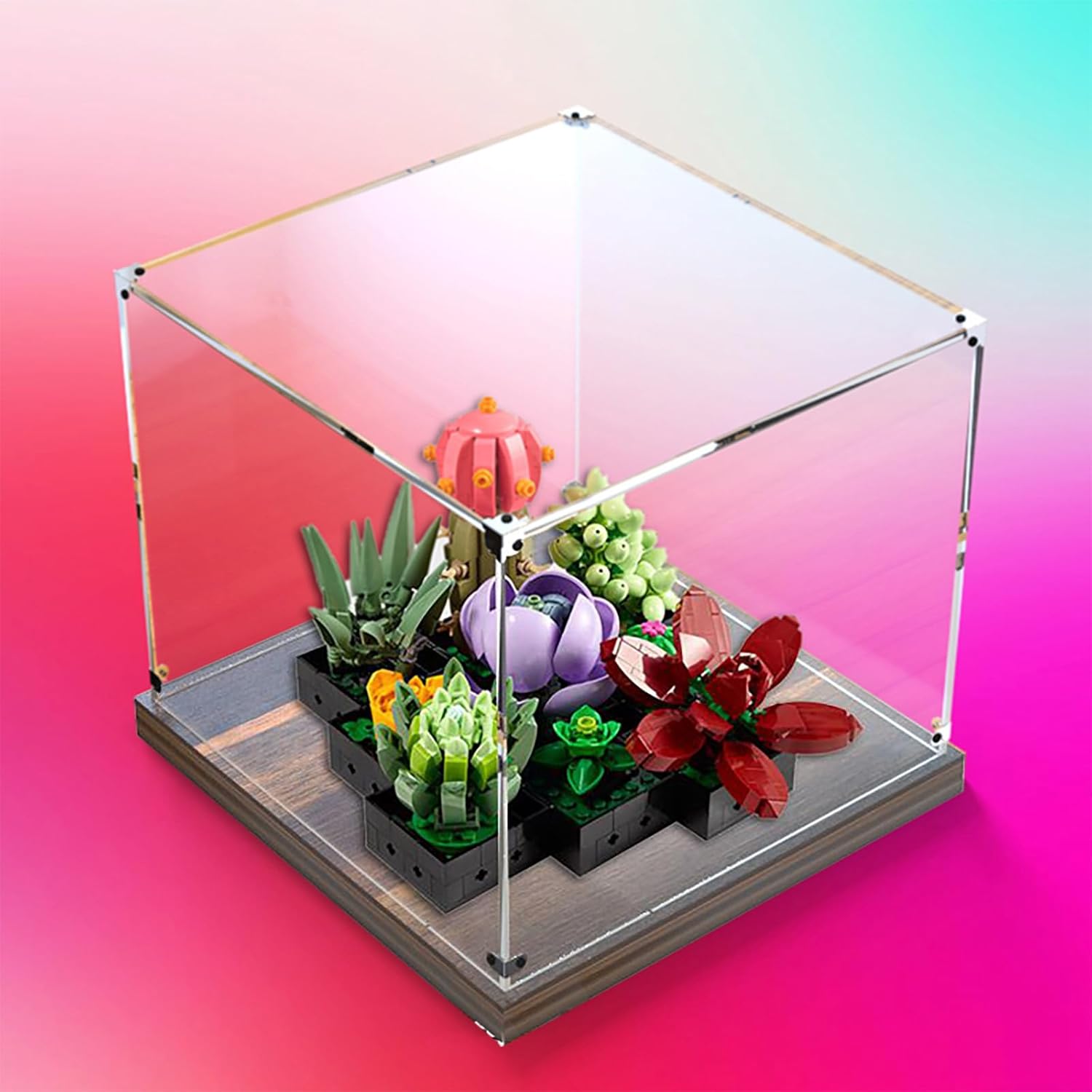Amazon.com: Acrylic Display Box Compatible with LEGO 10309 Succulents ...