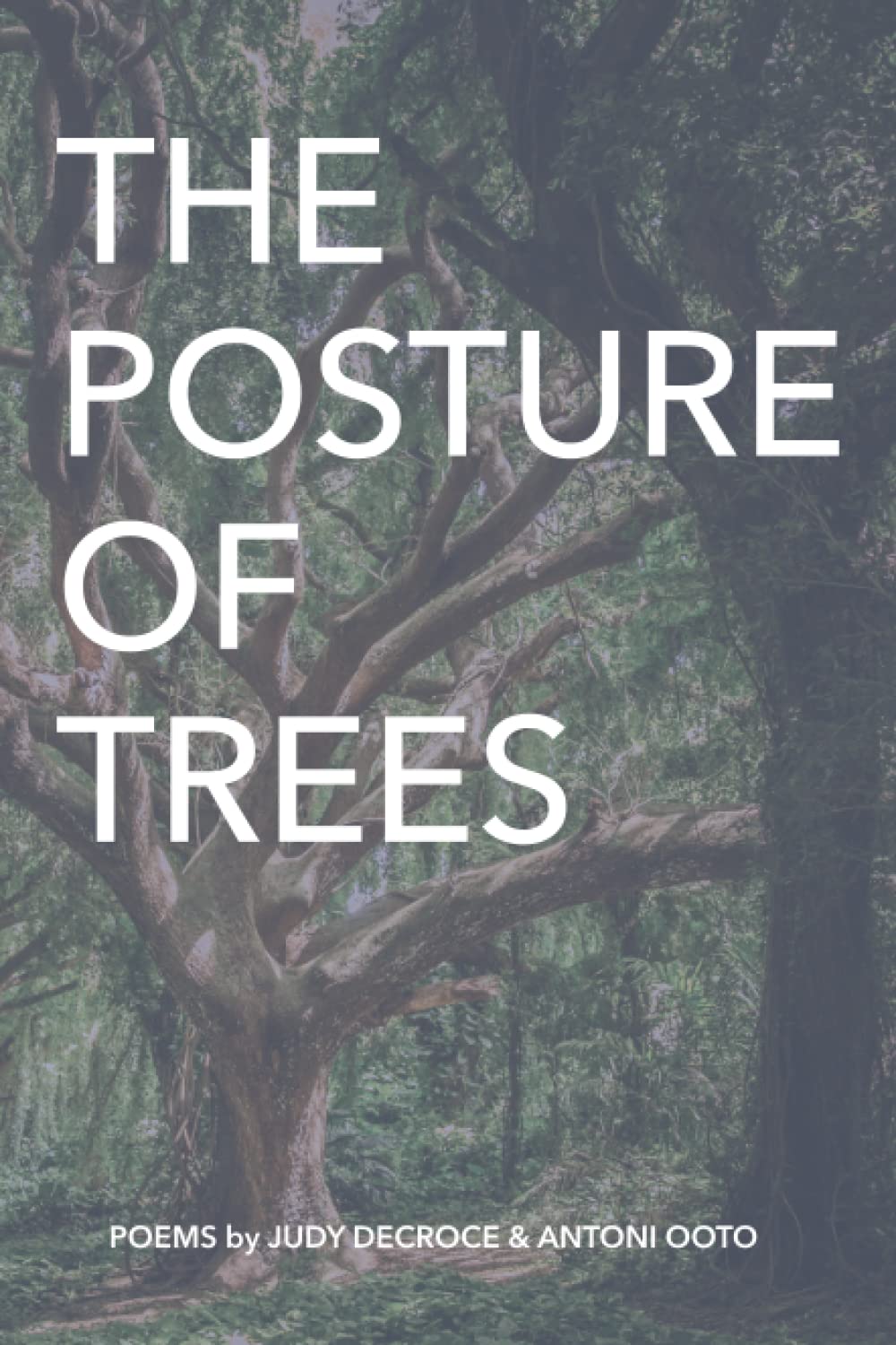 The Posture of Trees: DeCroce, Judy, Ooto, Antoni: 9798847035590 ...
