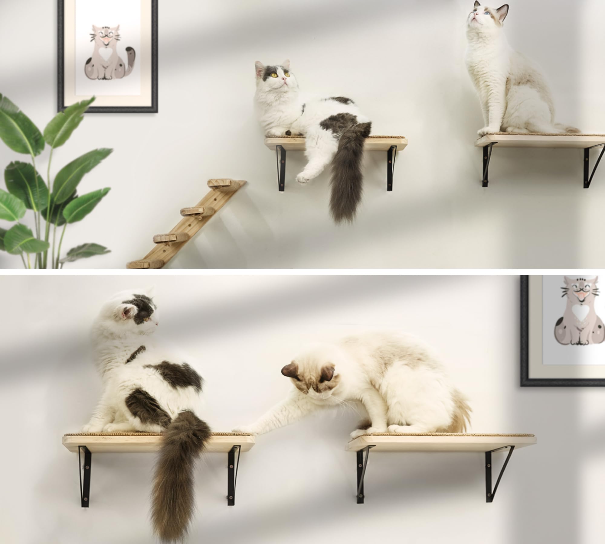 Cat Ladder Tucker Murphy Petu2122 Ellaree Cat Wall Shelves & Perches ...