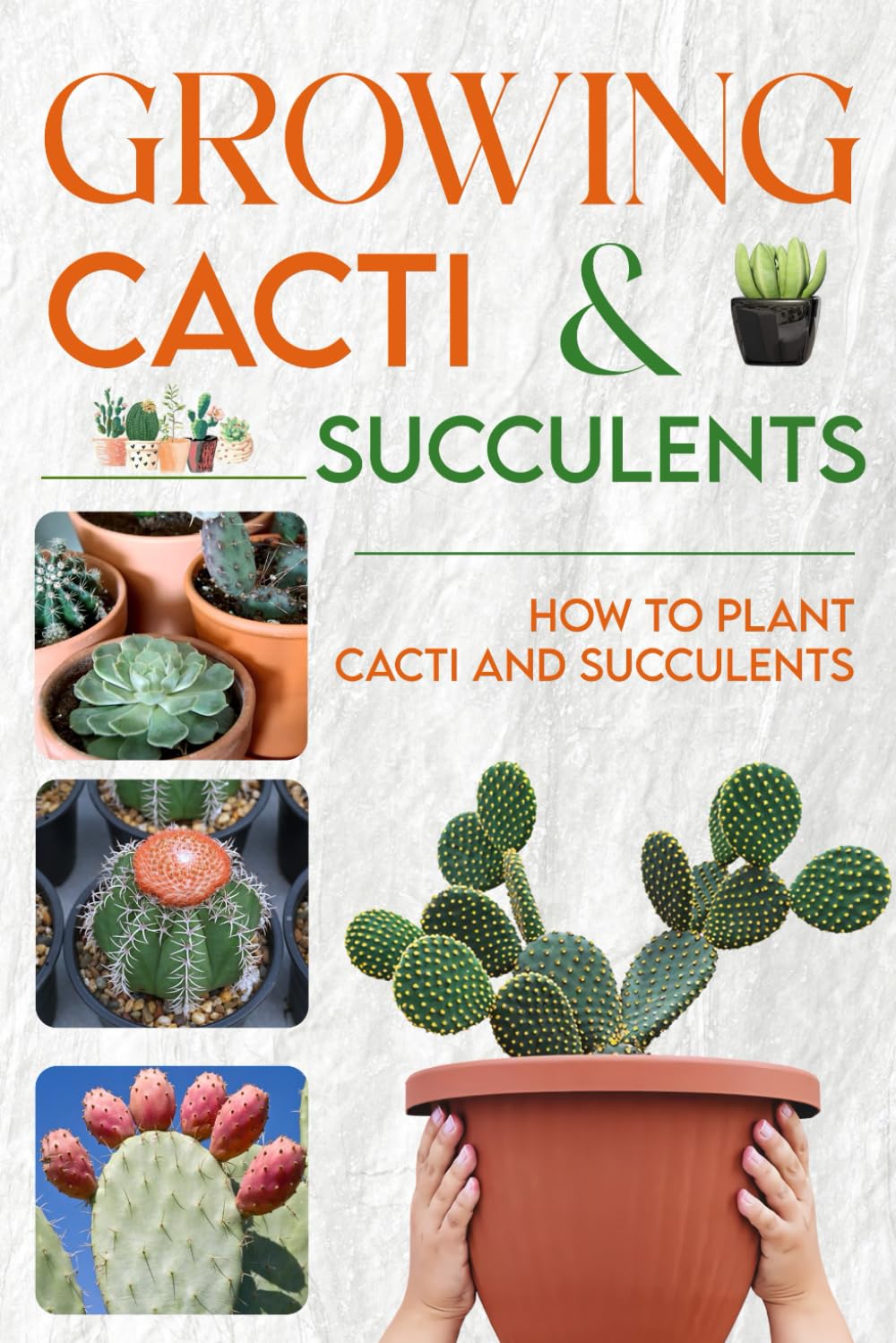 Growing Cacti & Succulents: How to Plant Cacti and Succulents: The ...