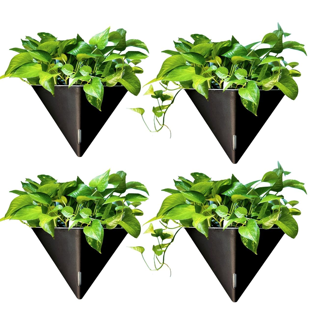 Amazon.com: LaLaGreen Wall Planters for Indoor Plants - 4 Pack, 12 Inch Large Self Watering ...