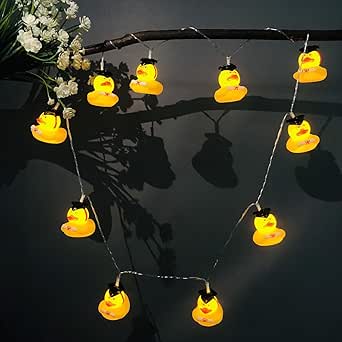 Amazon.com: Graduation Ducks String Lights Ducks Night Lights Battery ...