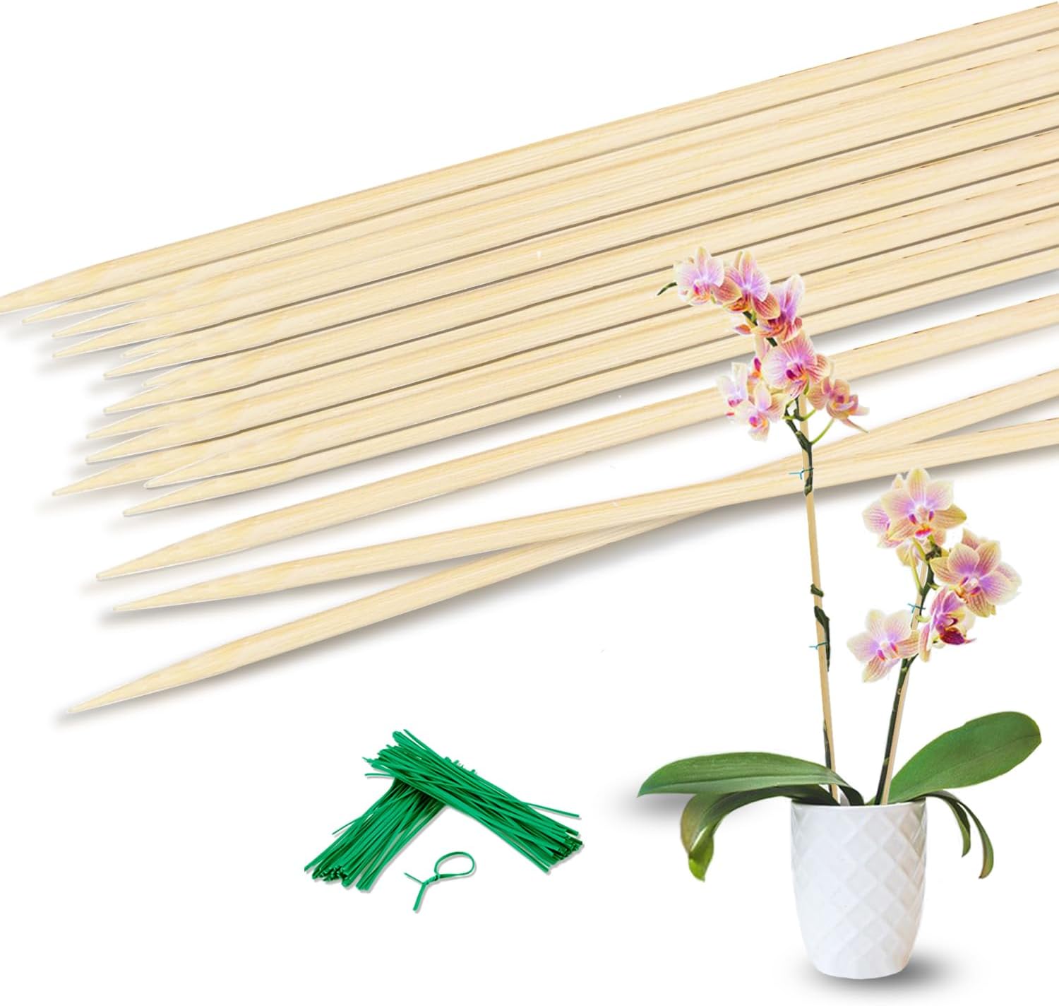 Amazon.com : GXXMEI 100PCS 18" Plant Sticks Support with 100PCS Green ...