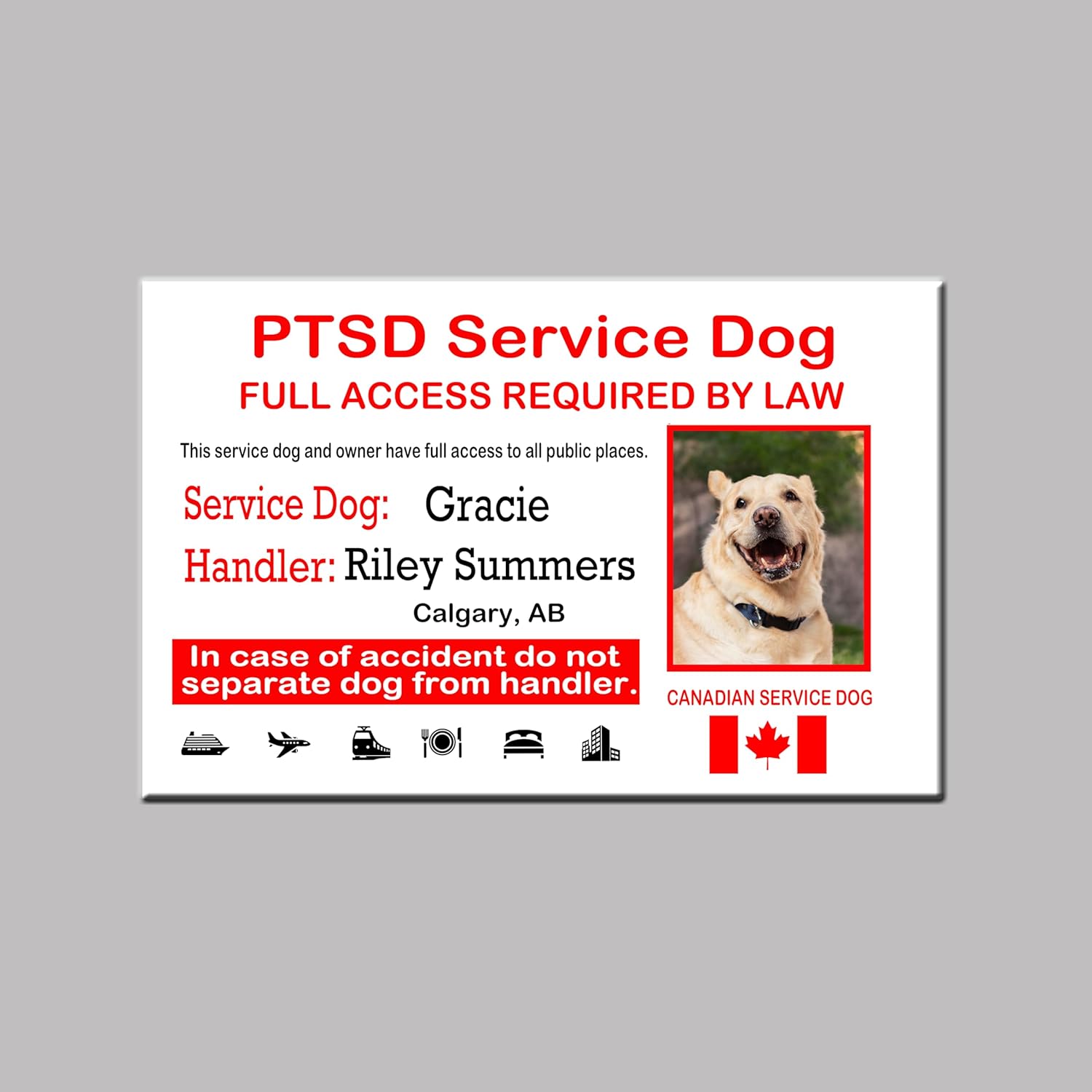 PTSD Service Dog ID Card, Personalized Wallet Card : Amazon.ca: Office ...