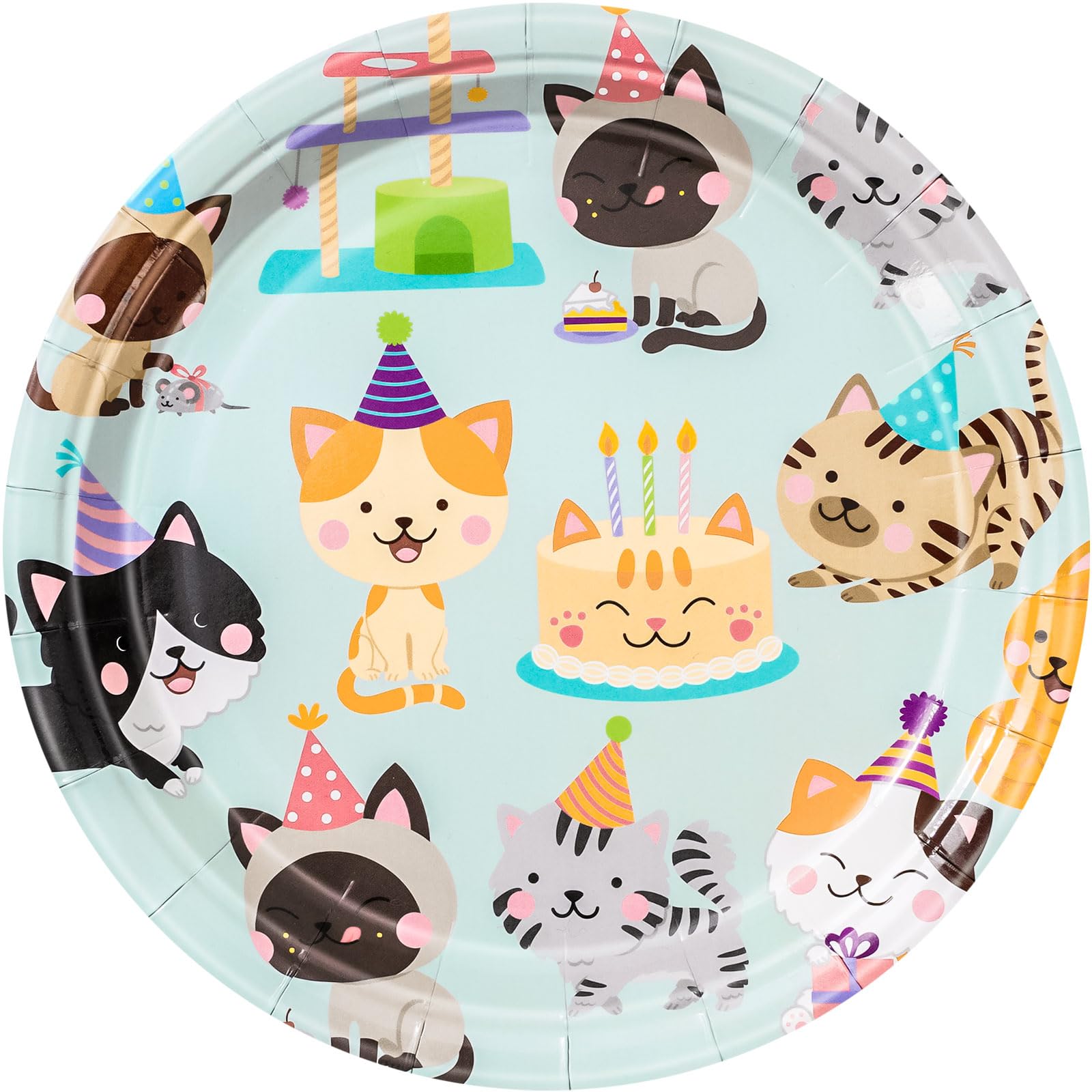 Amazon.com: AnyDesign 30Pcs Cat Theme Plate Cat Birthday Party ...