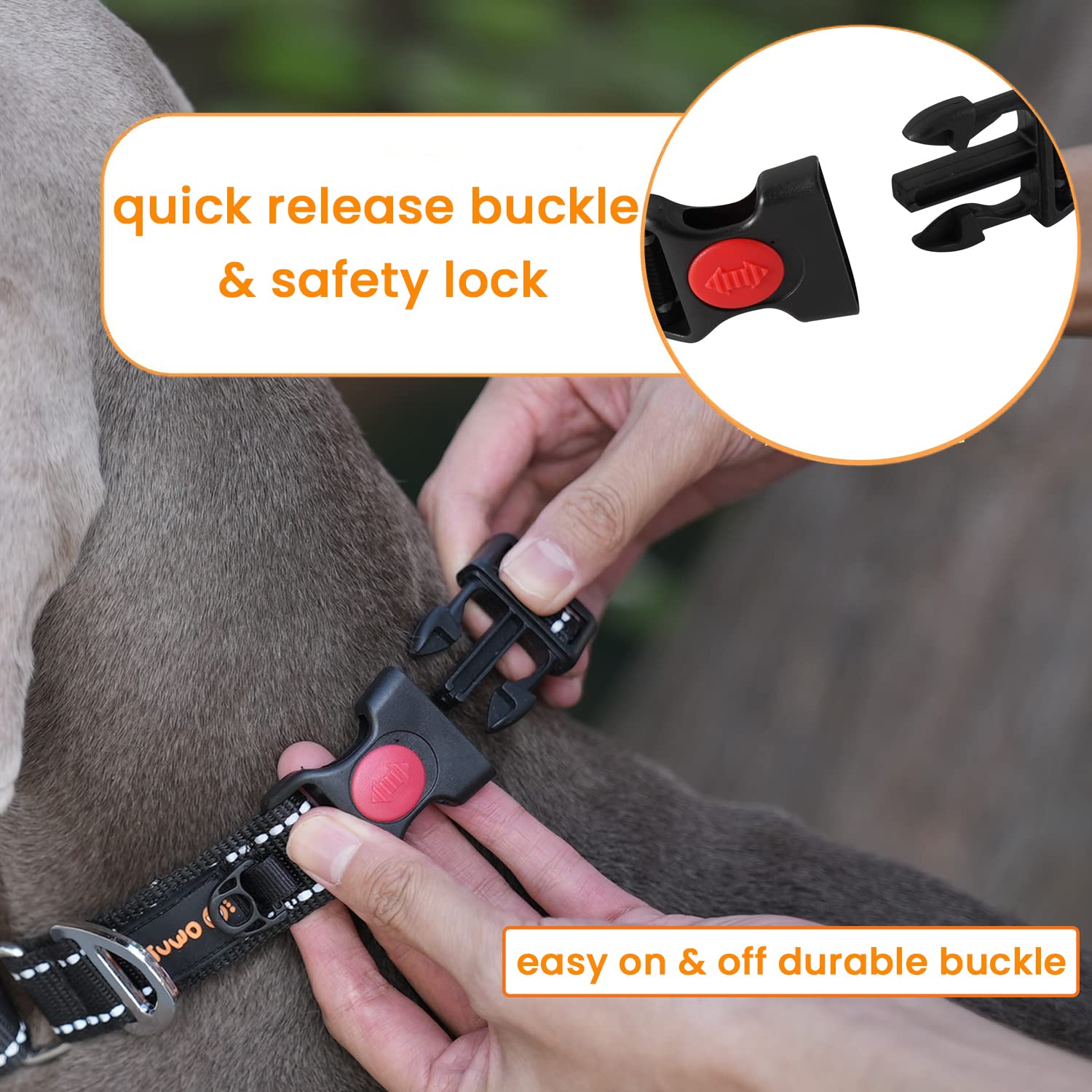 JuWow Nylon Martingale Collar, Adjustable Pet Slip Collar with ...