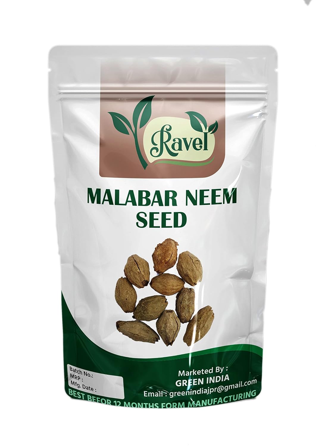 Ravel Melia Dubia Seeds 1kg - Malabar Neem Tree Seeds : Amazon.in ...