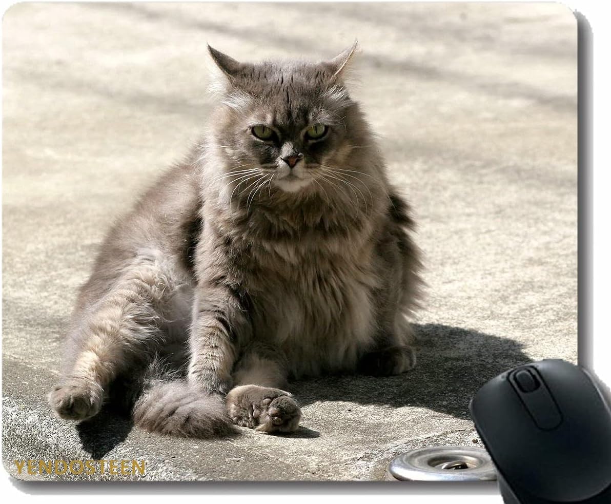 Mouse Pad,Cat Fluffy Color Sitting 51328 Mouse Pads : Amazon.com.au ...