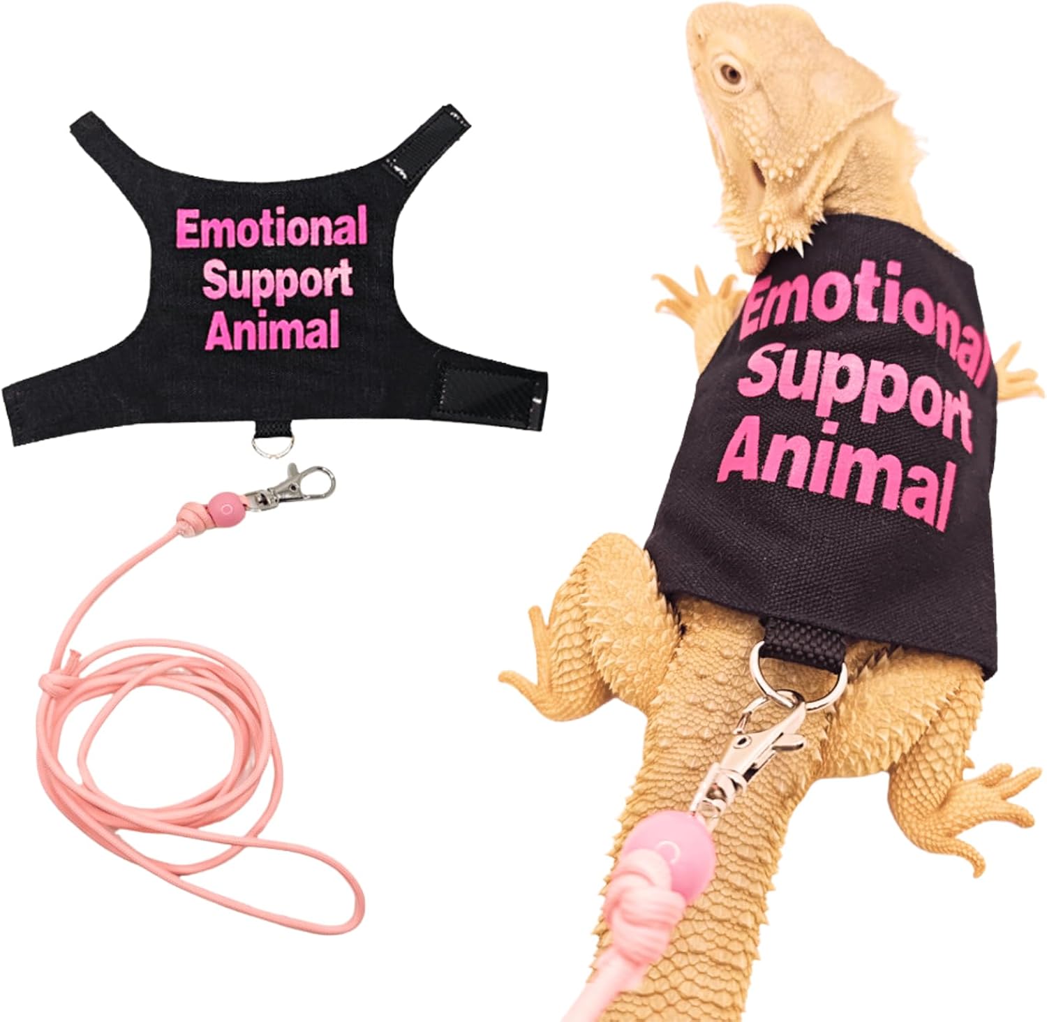Amazon.com : Bearded Dragon Lizards Clothes with Leash Set for Small ...