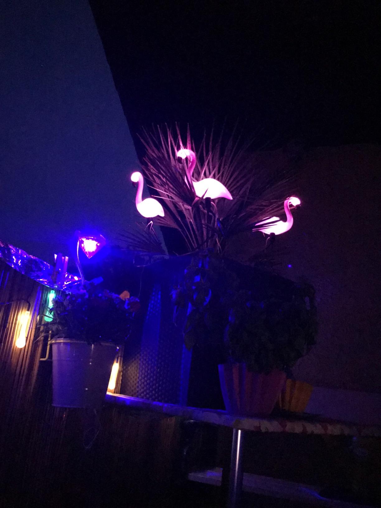 EASYmaxx 09383 Solar-Flamingos | 3er-Set, mit Solar-Panel | für Balkon ...