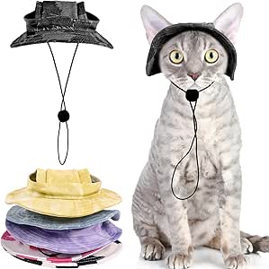 Amazon.com : QBLEEV Cat Hats for Cats Only, Sphynx Hat with Ear Hole ...
