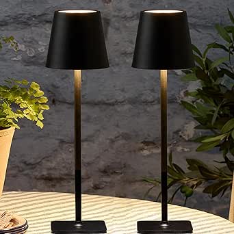 2 Pack Cordless Table Lamps-6000mAh Rechargeable Lamp,Waterproof ...