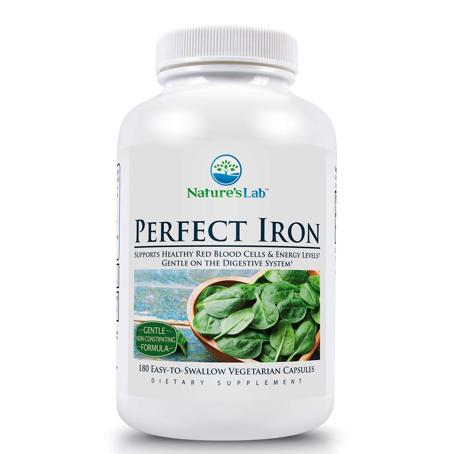 Best Iron Supplement: Top Picks for Optimal Absorption and Minimal Side ...