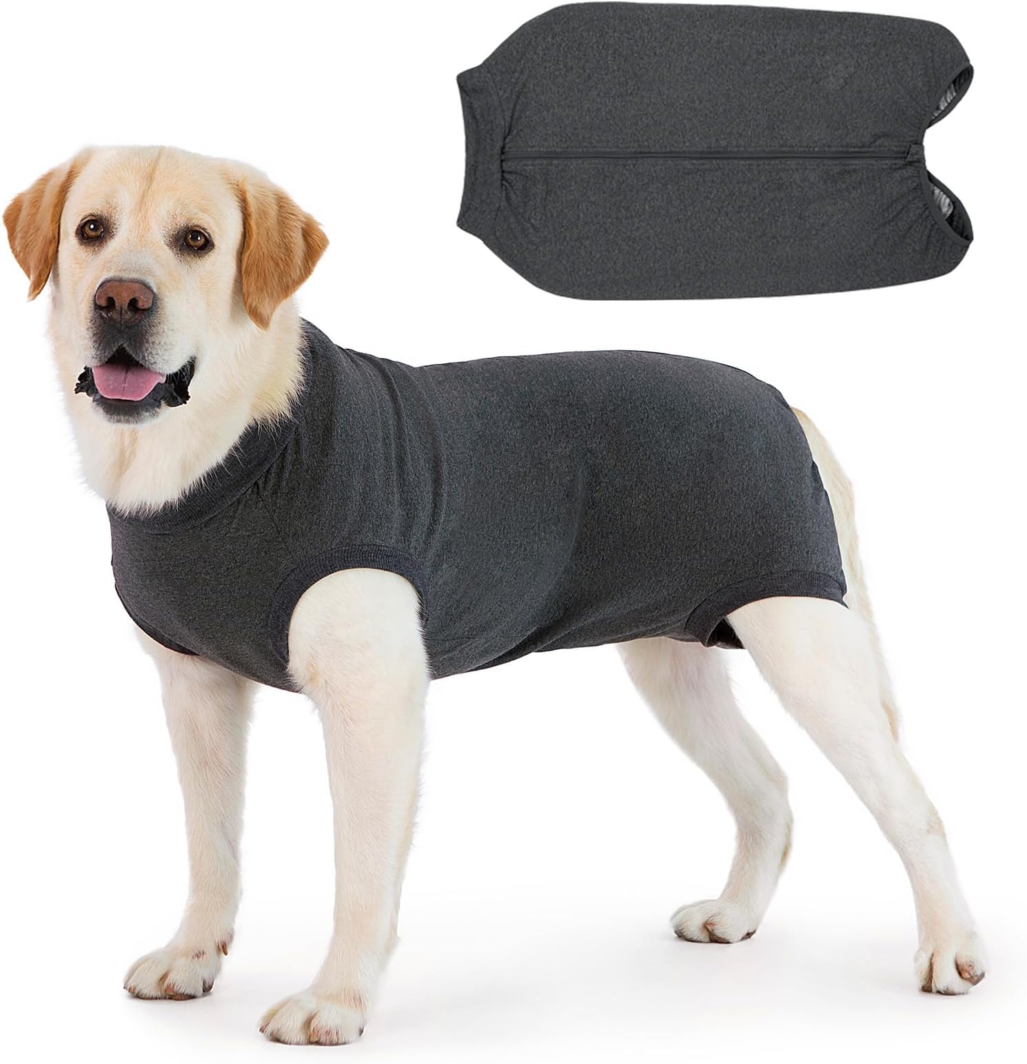MPS Medical Pet Shirt Dog, Surgery Recovery Suit, Blue, Medium ...