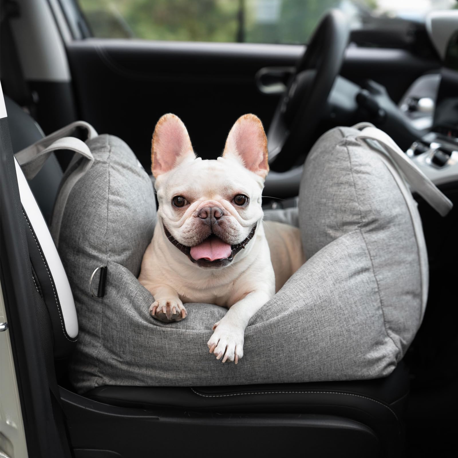 Amazon.com : FUNNYFUZZY Small Dog Car Seat, Portable Puppy Dog Booster ...
