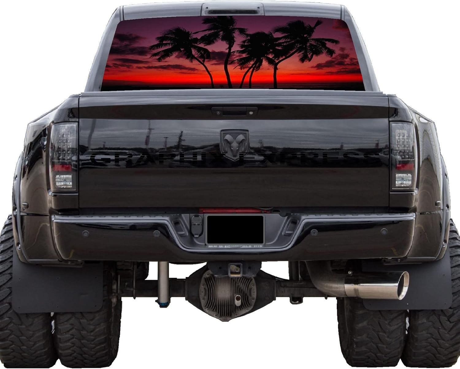 Amazon.com - GRAPHIX EXPRESS Truck Back Graphics (P44 Palm Trees ...