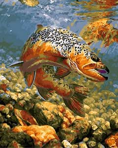 Amazon.com: Retro Fish Puzzle 1000 Piece Jigsaw Puzzles,Underwater Fish ...
