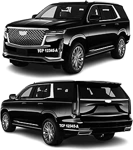 Amazon.com: TCP Limousine Sticker Decal for Limo & Cars | Black & White ...