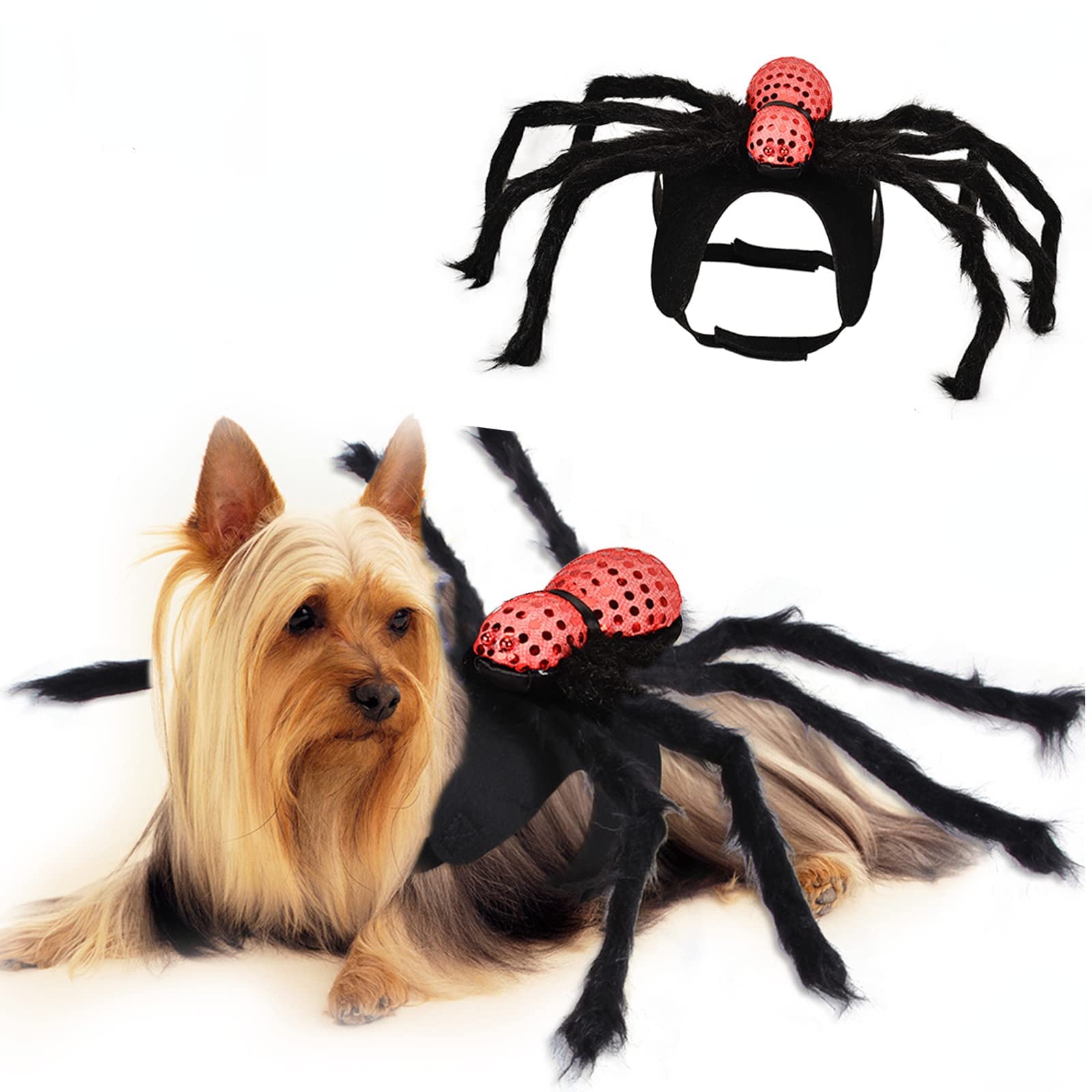 Dog Costumes Spider