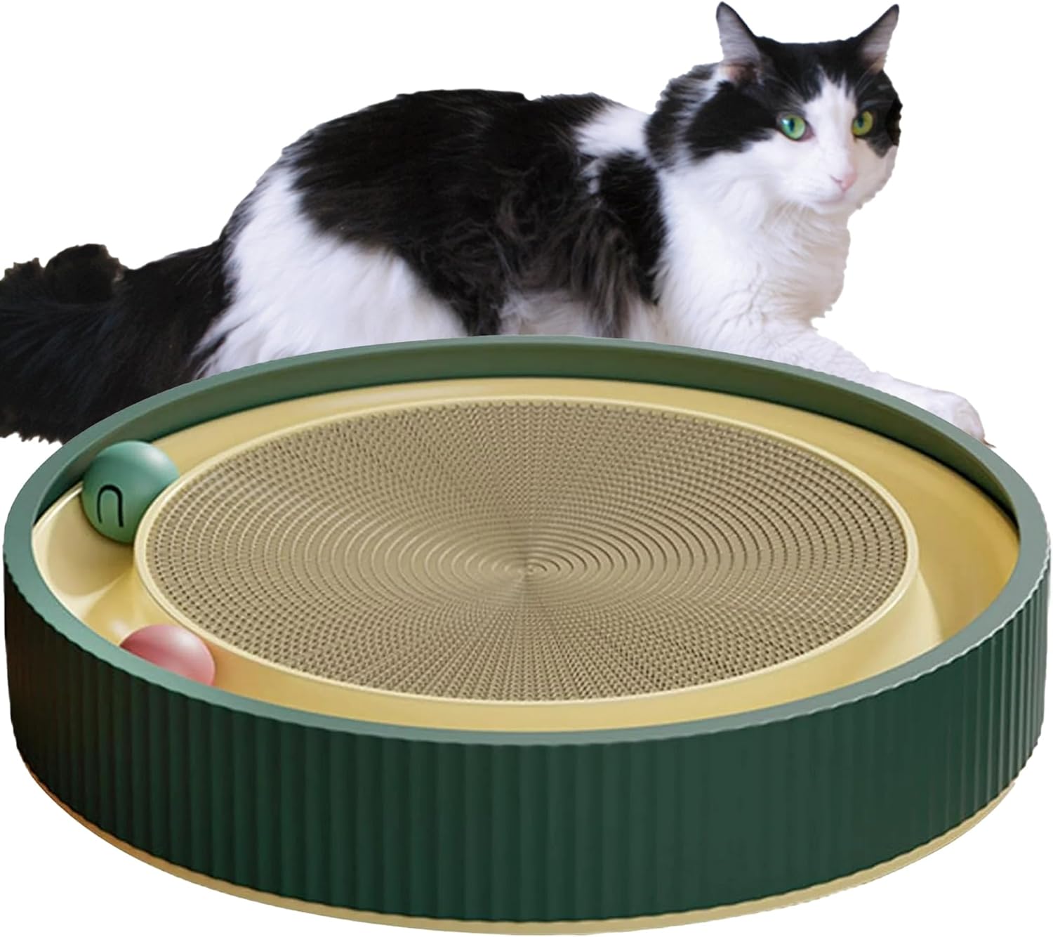 Amazon.com : Cat Turbo Scratcher with Cat Toy Ball Track and Catnip ...