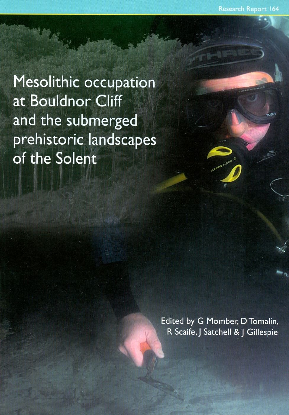 Amazon | The Mesolithic Occupation at Bouldnor Cliff and the Submerged ...