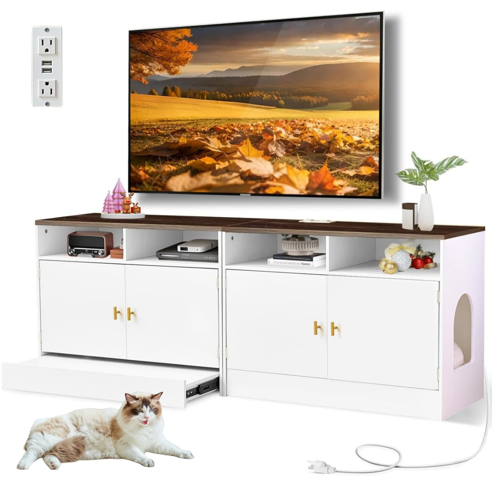 Amazon.com : JanflyHome Cat Litter Box Enclosure for 2 Cats, TV Stand ...